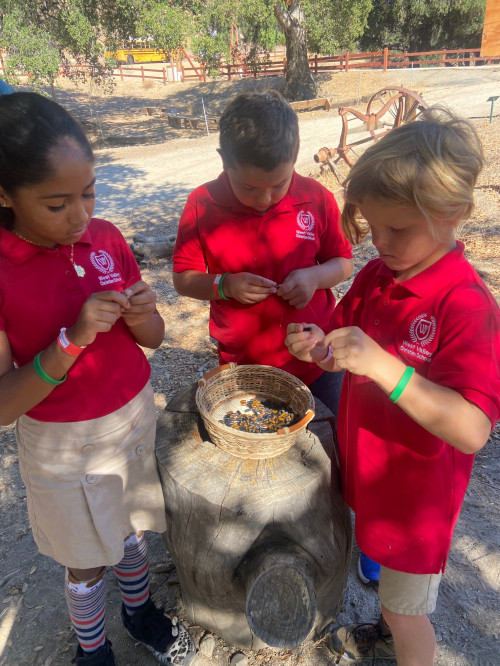 3rd Grade Field Trip